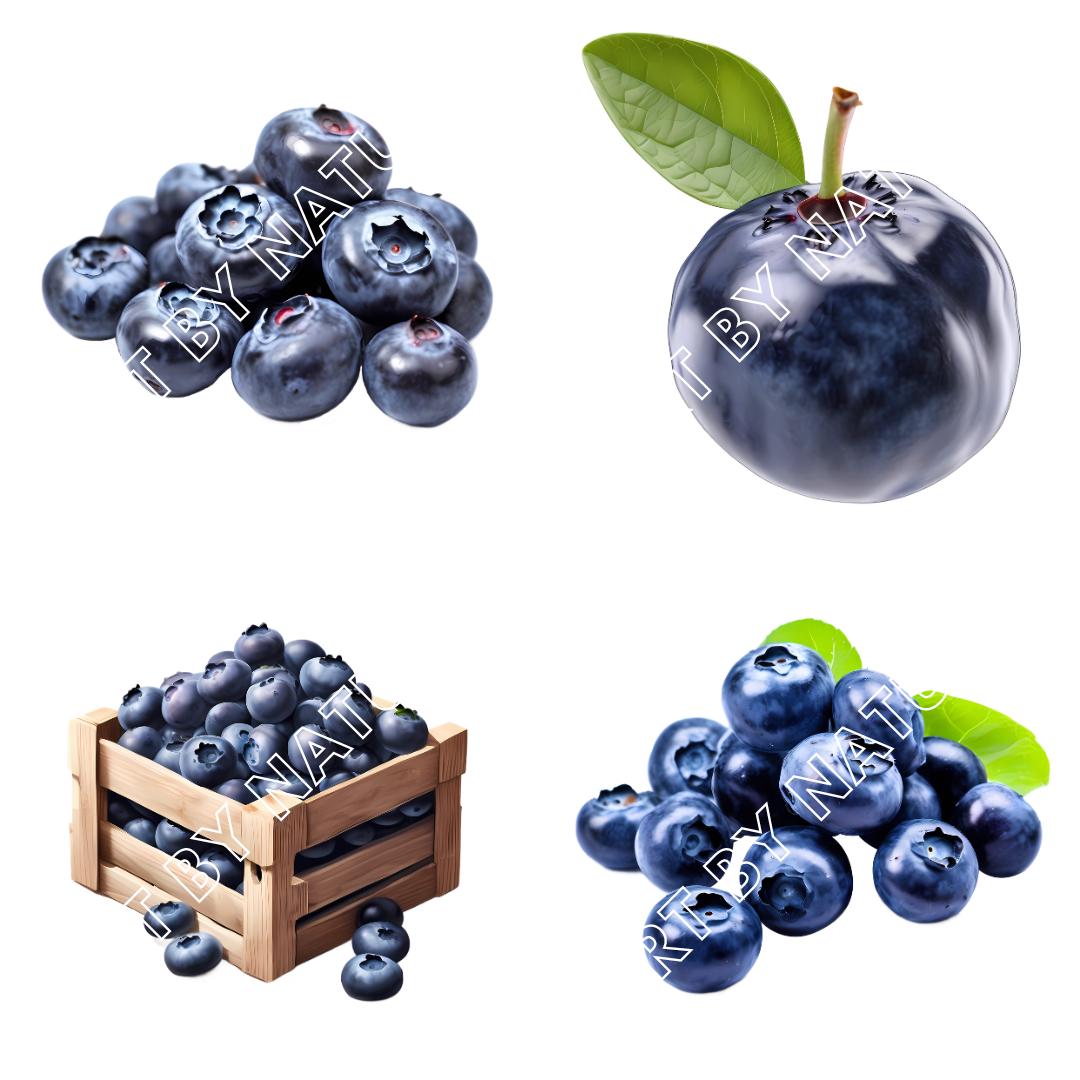 Blueberry Clipart, Commercial Use, Transparent PNG, Blueberries Art ...