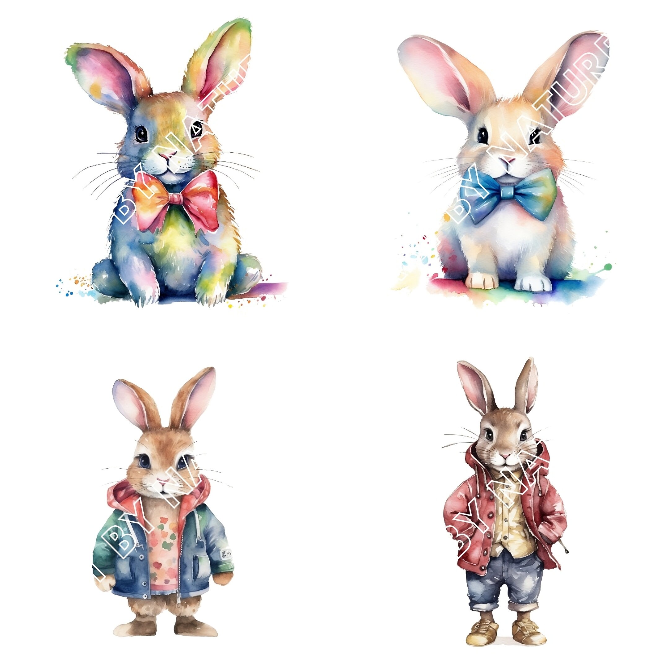 Watercolor Bunny Clipart Pack, Clipart for Commercial Use, Transparent ...