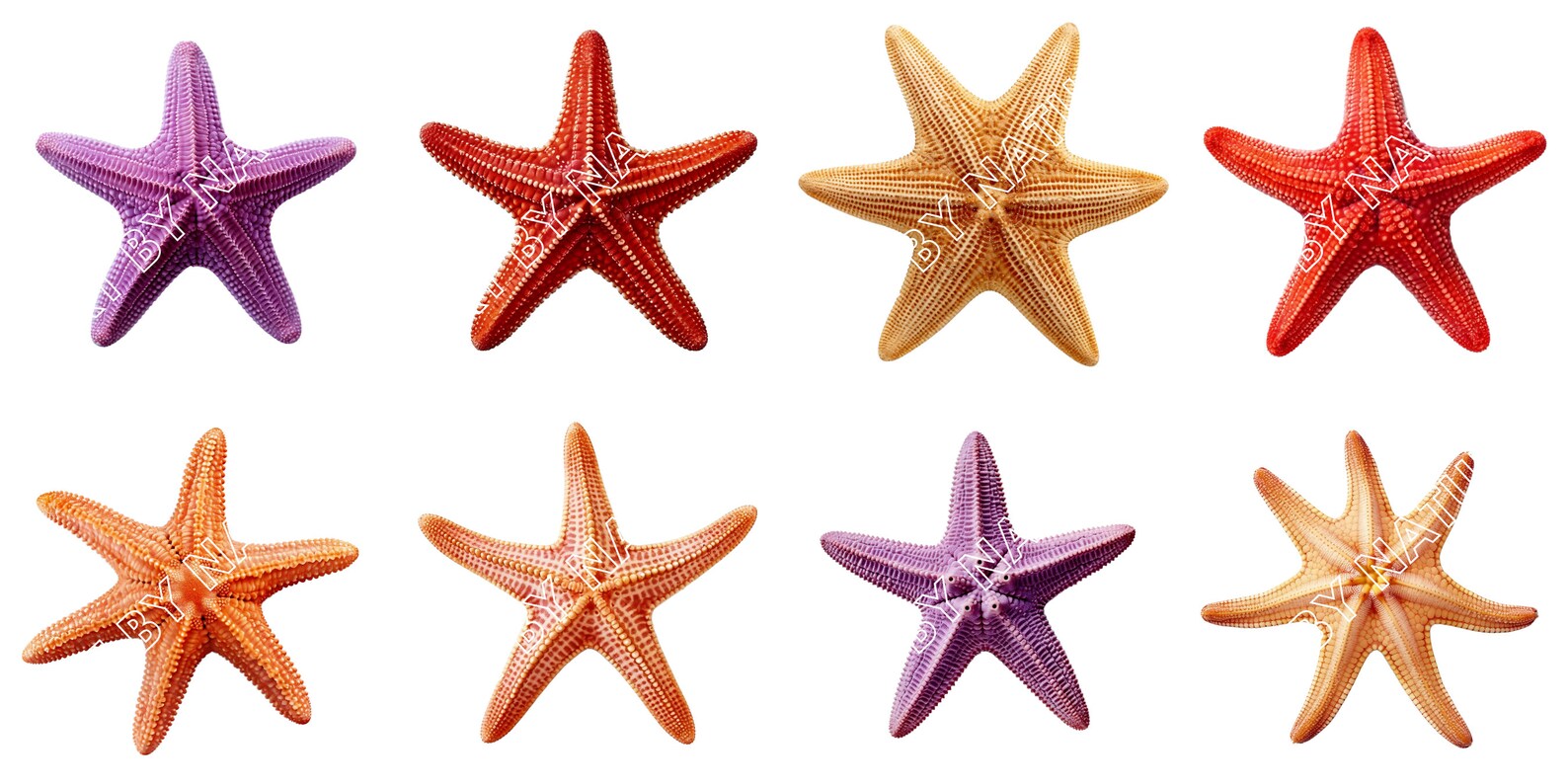 Starfish Clipart Pack, Commercial Use, Transparent Pngs, Ocean Life ...