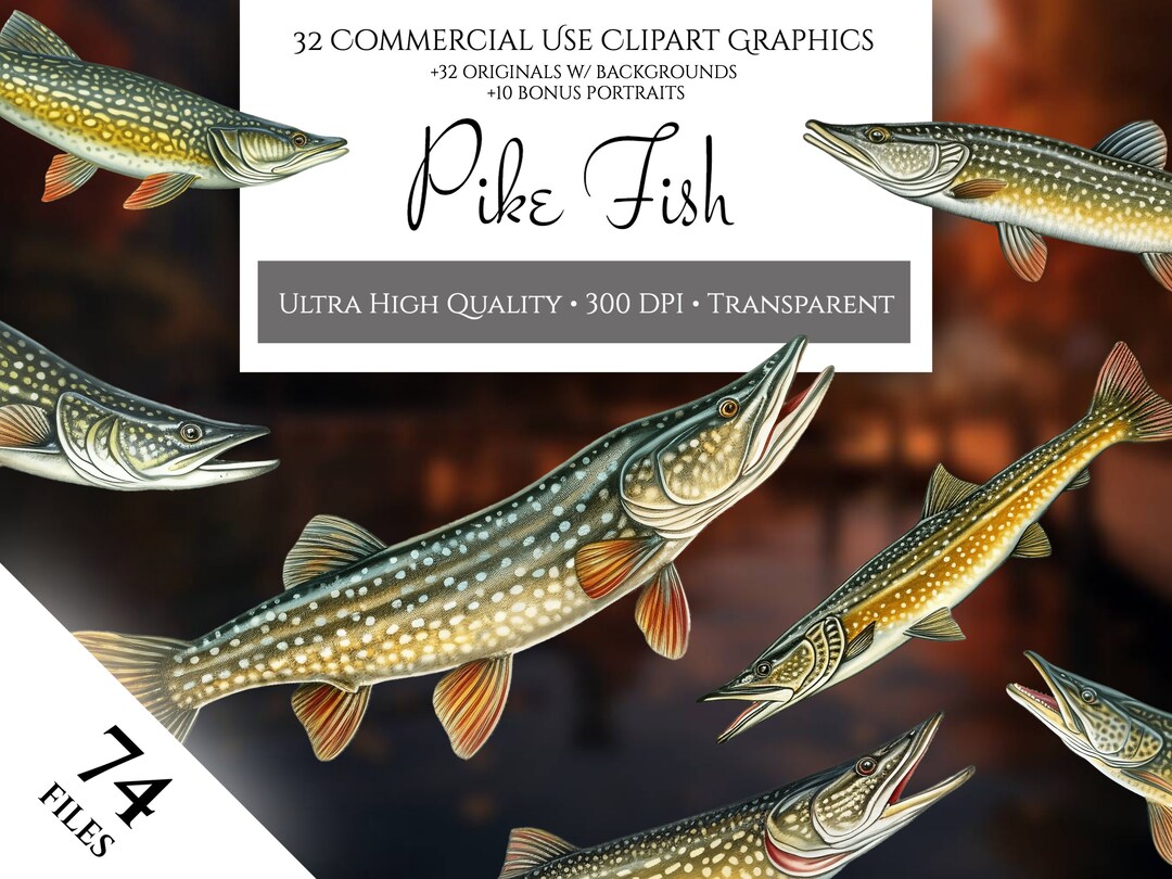 Pike Fish Clipart, Commercial Use Transparent Pngs Lake Fish Freshwater ...