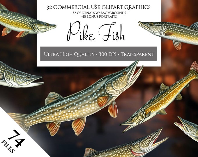 6 Pike Fish Clipart, Pike Clipart PNG, Fishing, Digital Graphic ...