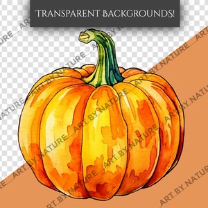 Watercolor Fall Pumpkin Clipart Pack, Autumn Watercolor in PNG Format ...