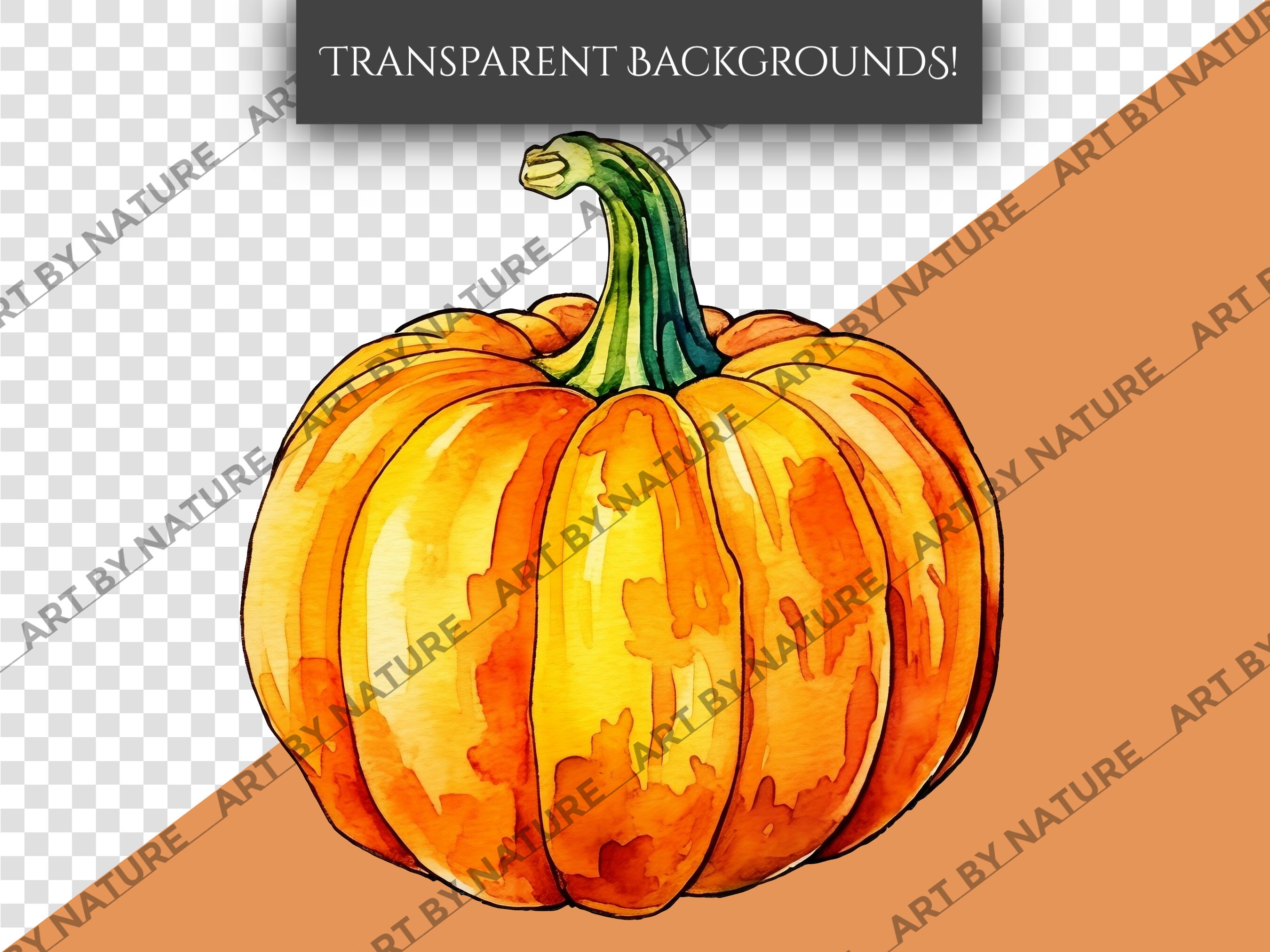 Watercolor Fall Pumpkin Clipart Pack, Autumn Watercolor in PNG Format ...