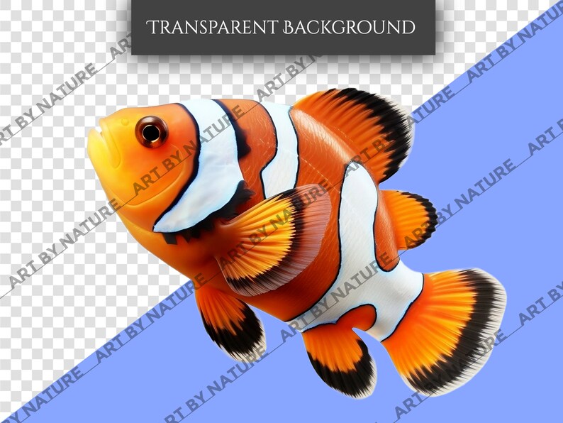 Clownfish Clipart Pack Clipart for Commercial Use - Etsy