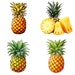 Pineapple PNG, Pineapple Clipart, Summer PNG, Tropical Fruit PNG ...
