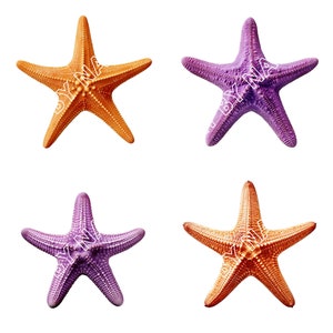 Starfish Clipart Pack, Commercial Use, Transparent Pngs, Ocean Life ...