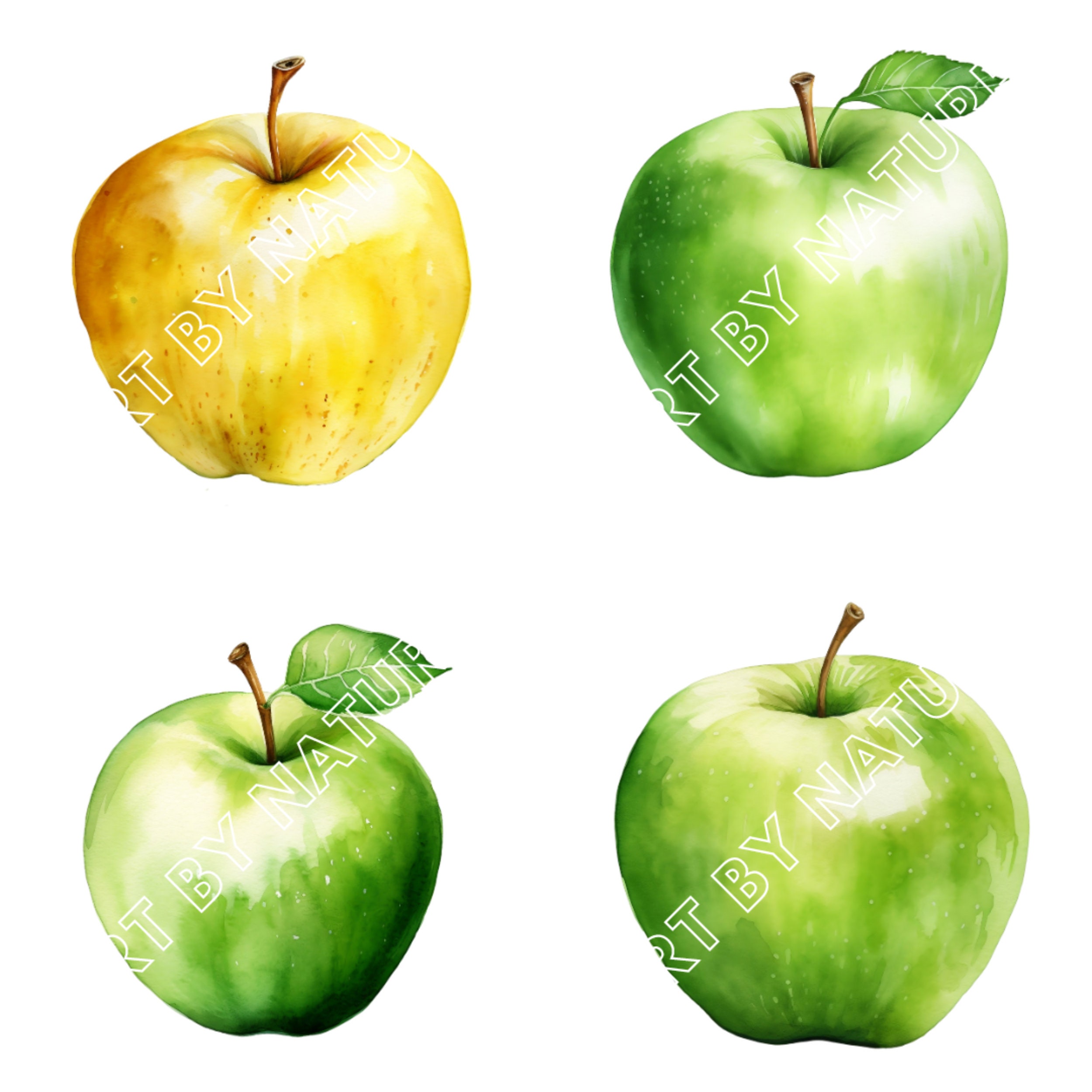20 Watercolor Apples Clipart Pack, High Quality Apples for Commercial ...