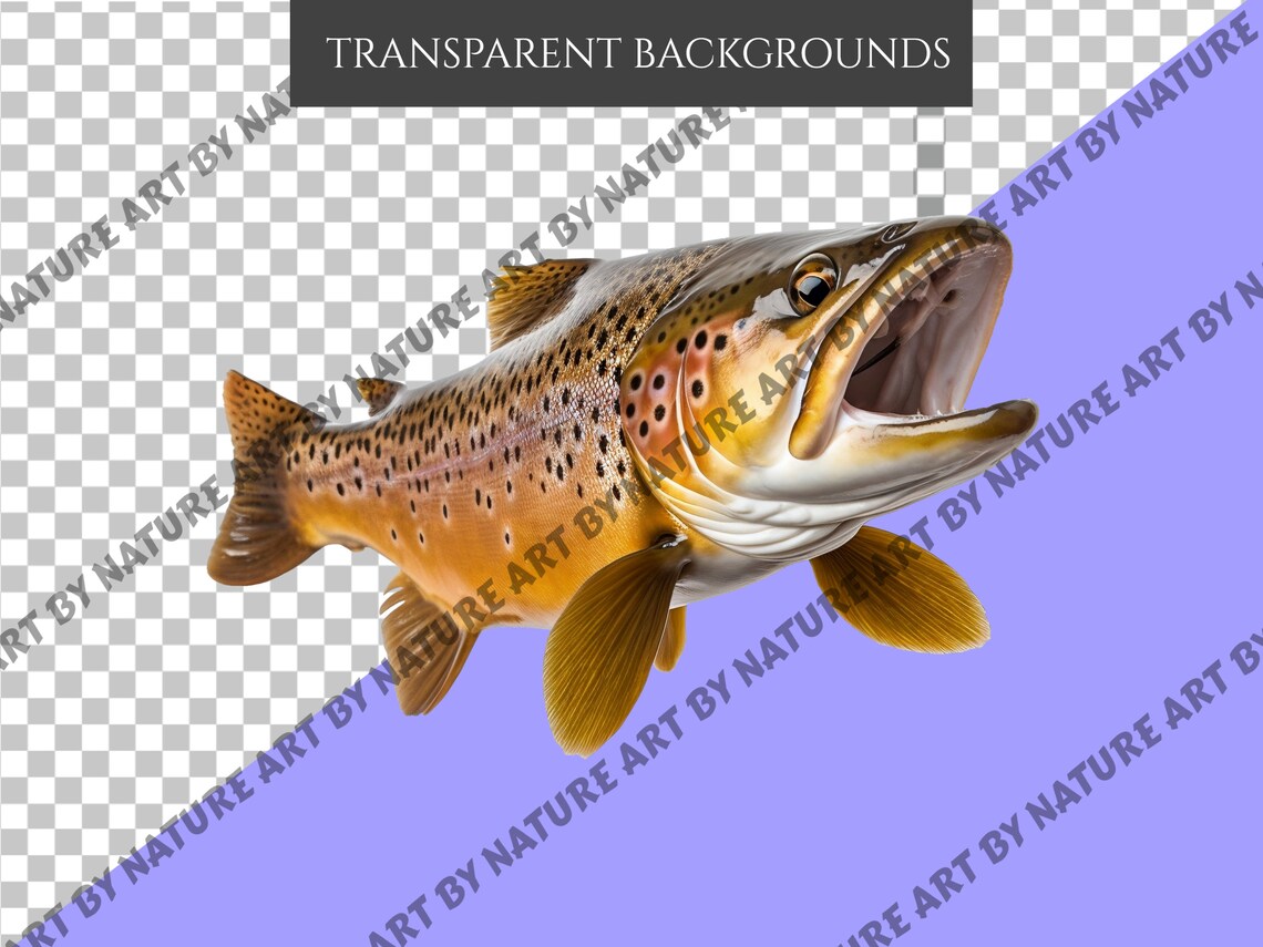Brown Trout Clipart: Transparent PNG Graphics for Commercial Use - Etsy