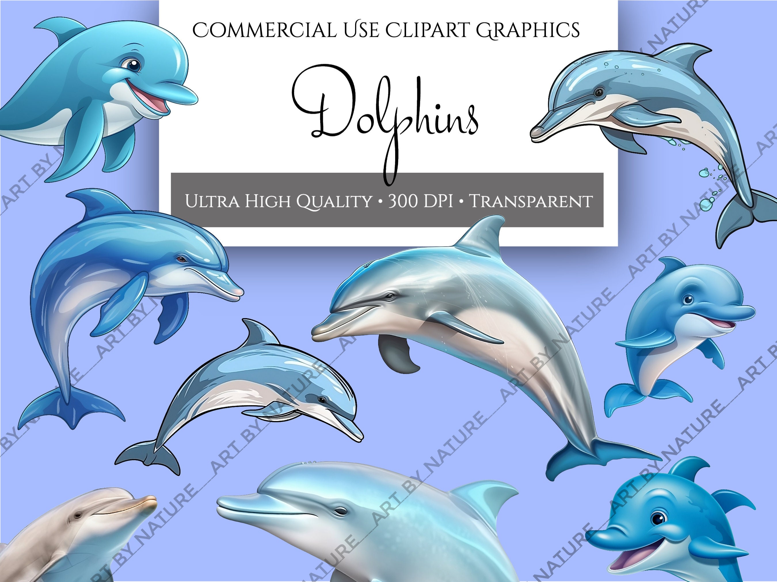 Dolphin Clipart Pack Clipart for Commercial Use Transparent - Etsy