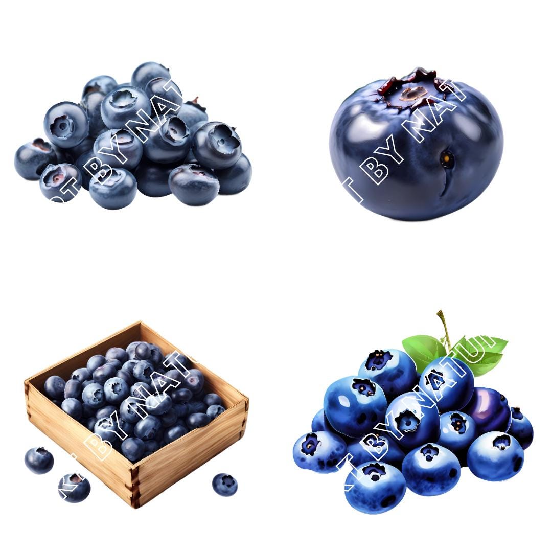 Blueberry Clipart, Commercial Use, Transparent PNG, Blueberries Art ...
