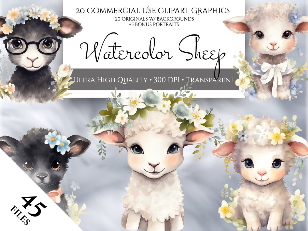 Watercolor Sheep Clipart PNG Bundle, Printable Floral Nursery and Farm ...