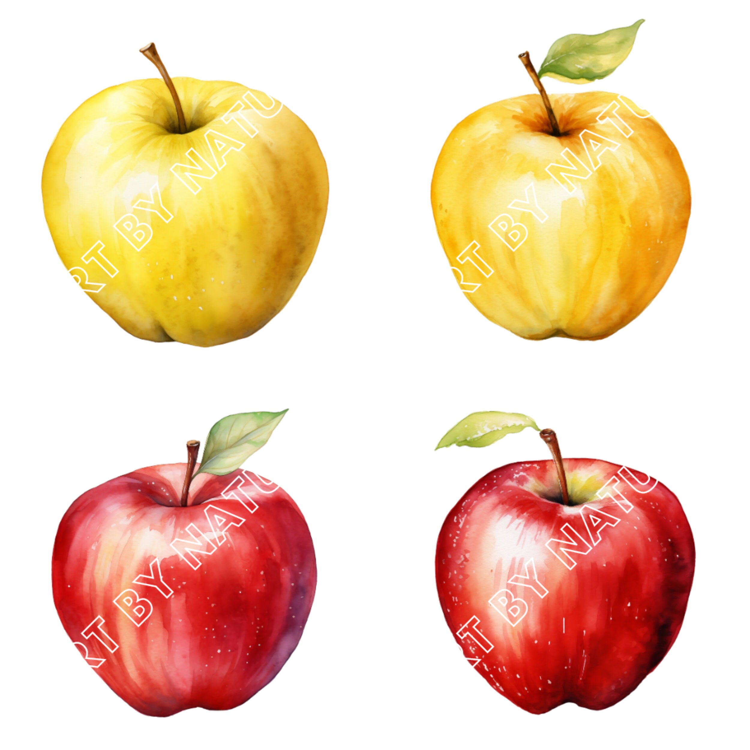 20 Watercolor Apples Clipart Pack, High Quality Apples for Commercial ...