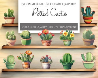 Cactus Clipart Bundle Watercolor Cactus PNG Cactus in the - Etsy