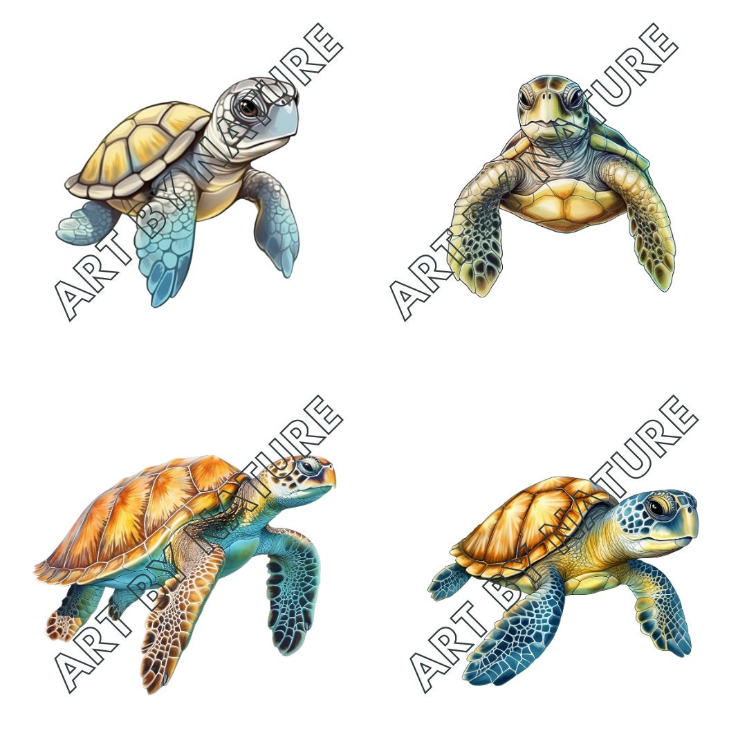 Sea Turtle Clipart Pack, Commercial Use, Transparent Pngs, Marine Life ...