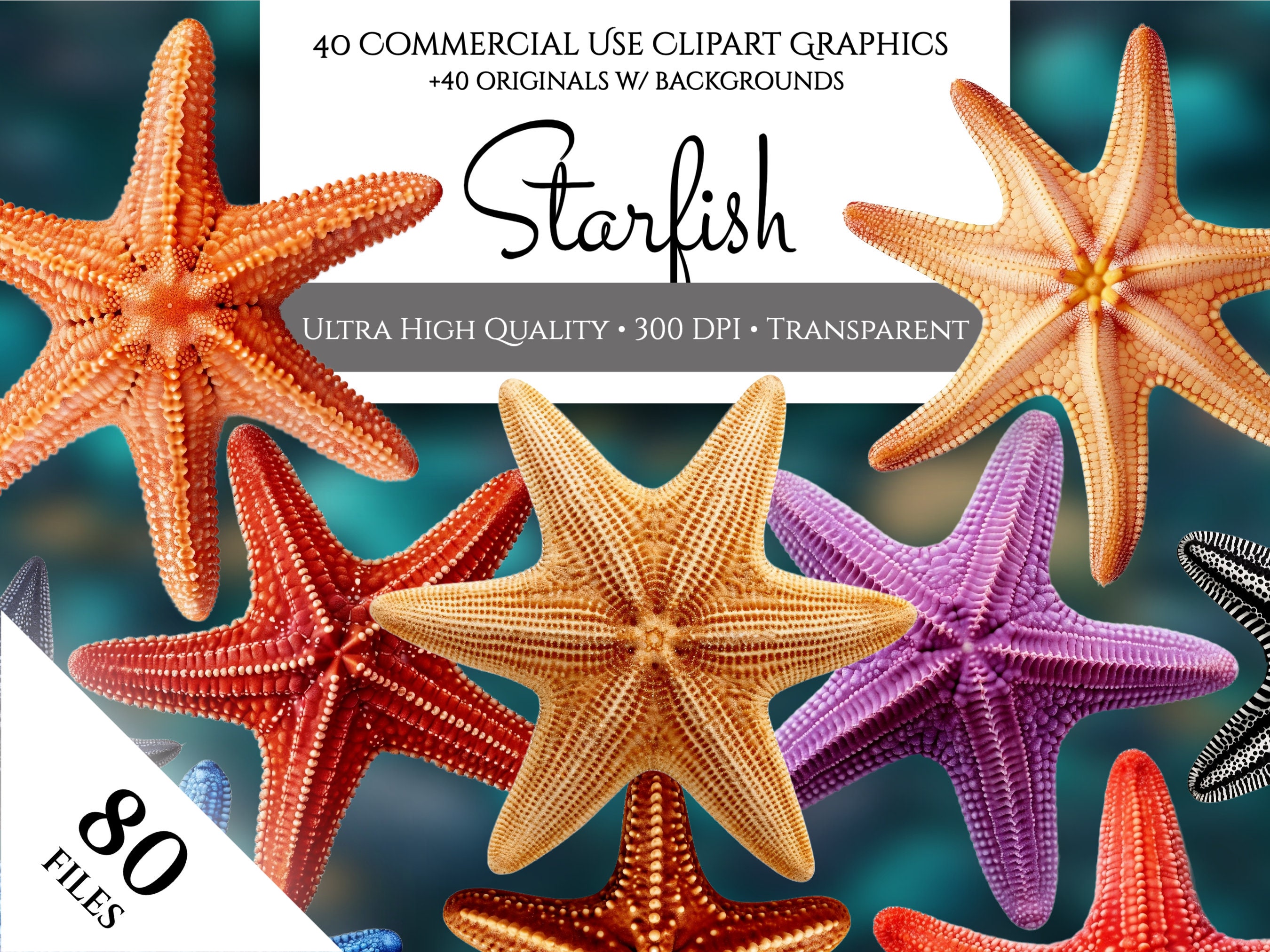 Starfish Clipart Pack, Commercial Use, Transparent Pngs, Ocean Life ...