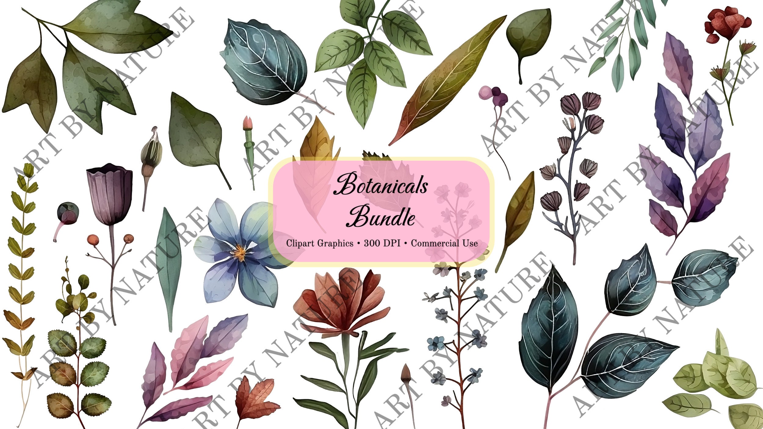 PNG Botanicals Clipart Graphics Bundle - Etsy