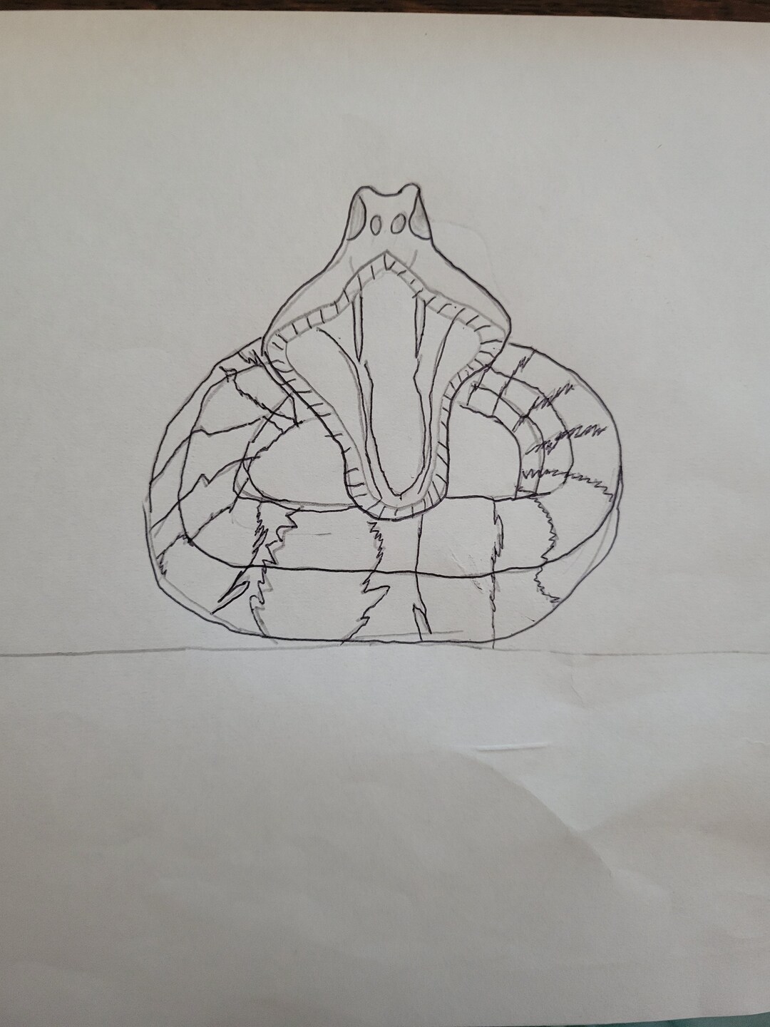 Python Coloring Sheet - Etsy