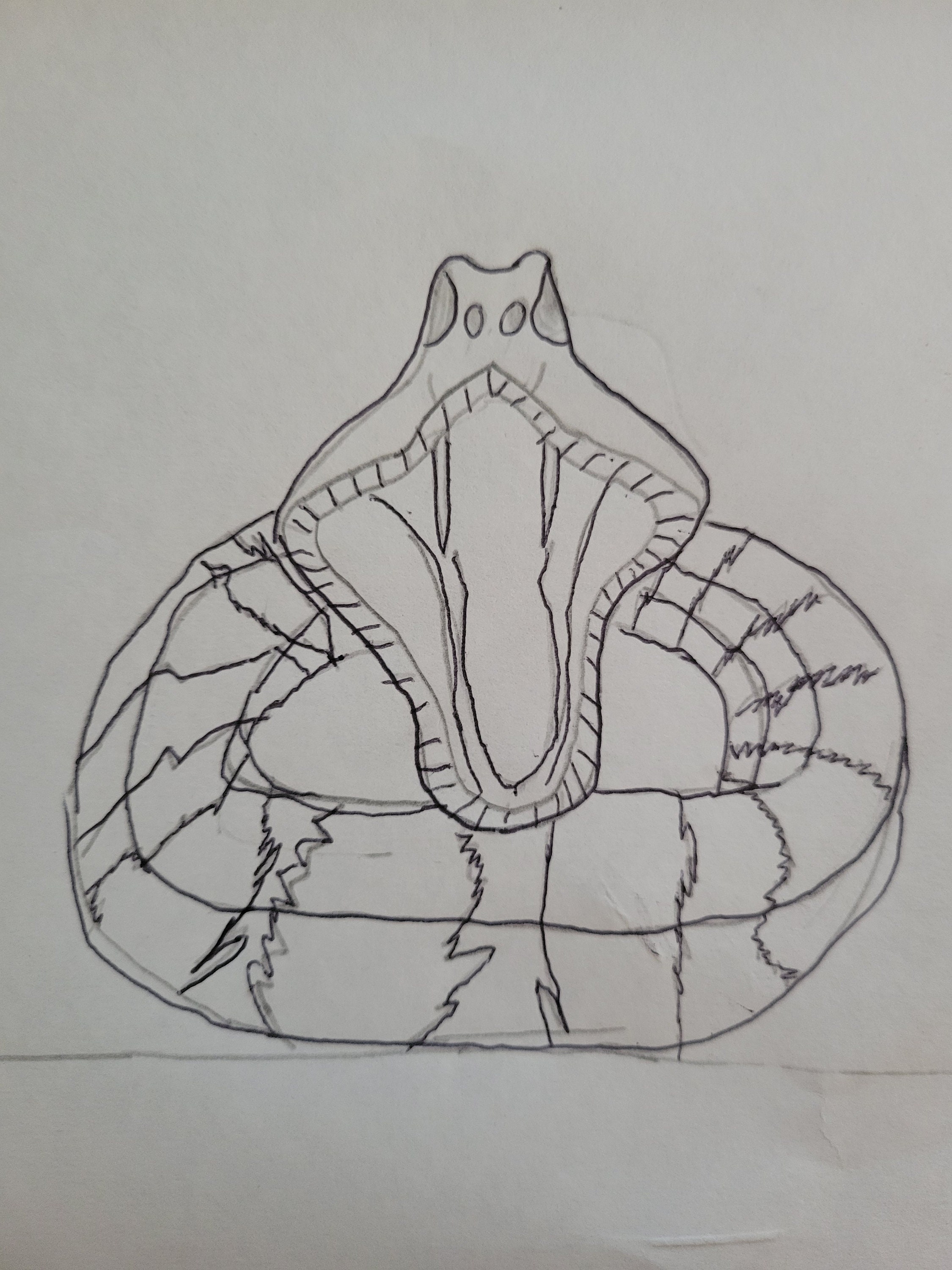 Python Coloring Sheet - Etsy