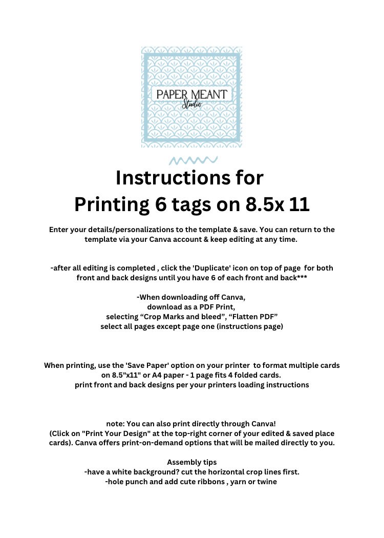 Editable Birthday Era Party VIP Tag Vip Pass You Tags Music Swifty ...