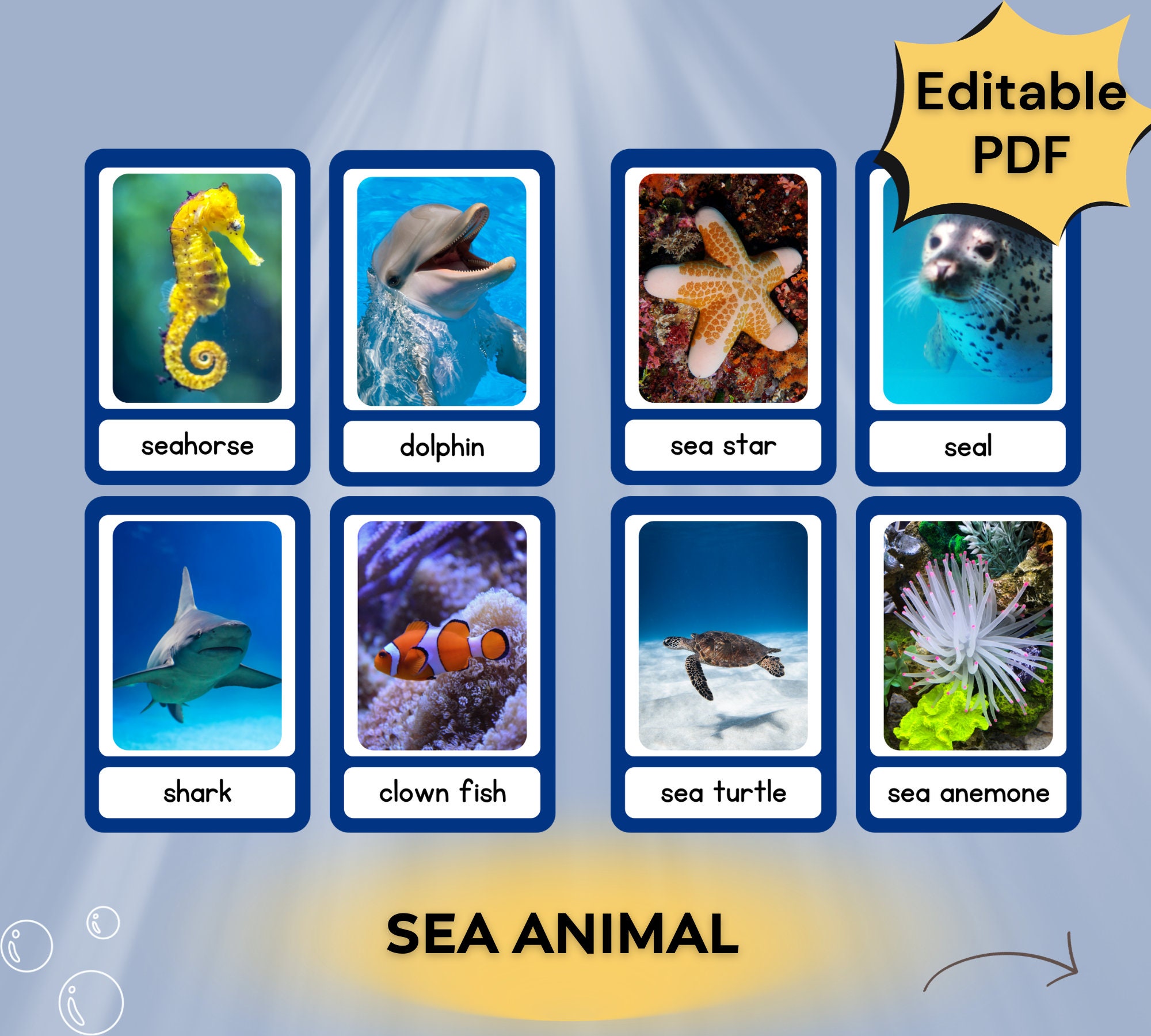 Sea Animals Flashcards PDF Printable Card Preschool - Etsy