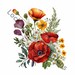 Watercolor Floral Poppy Clipart Spring Flowers Spring Floral, PNG ...