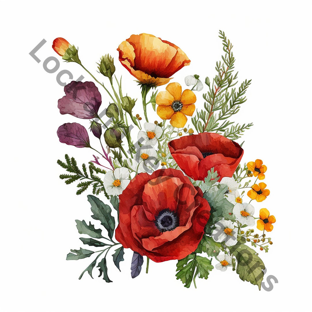 Watercolor Floral Poppy Clipart Spring Flowers Spring Floral, PNG ...