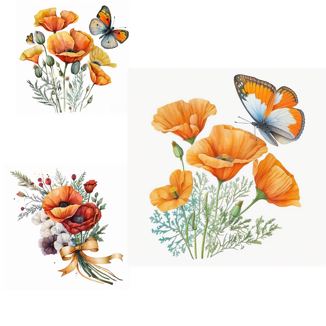Watercolor Floral Poppy Clipart Spring Flowers Spring Floral, PNG ...