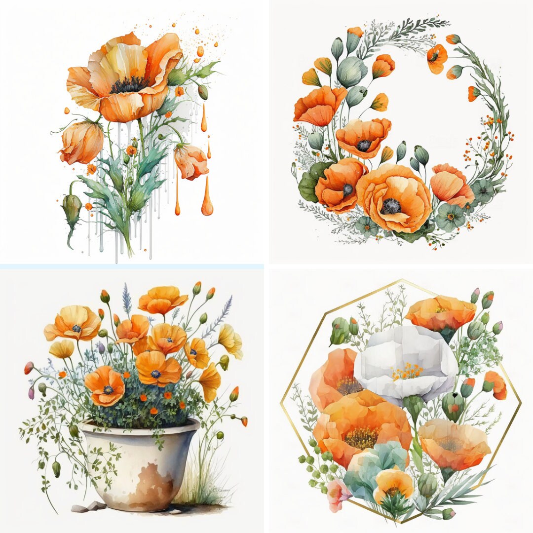 Watercolor Floral Poppy Clipart Spring Flowers Spring Floral, PNG ...