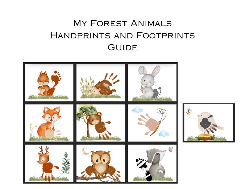 Forest Animals Book for Toddlers, Preschoolers, Forest Animals ...