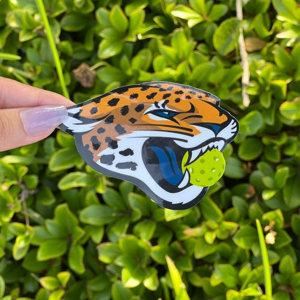 Pickleball Car Decals - Etsy