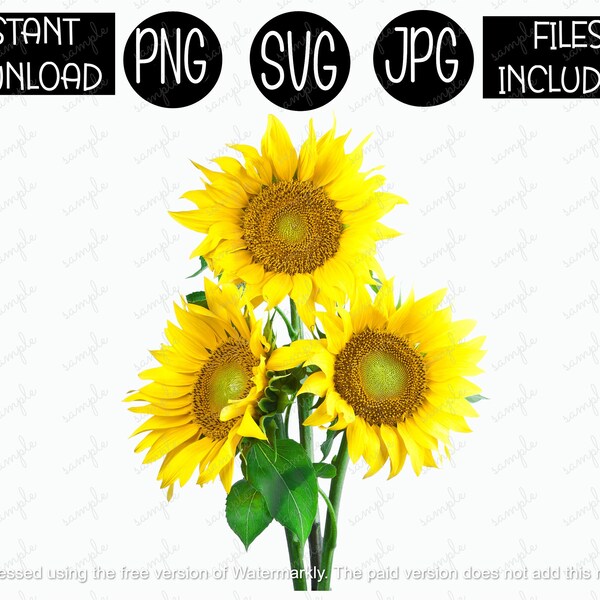Sunflower Floral - Etsy