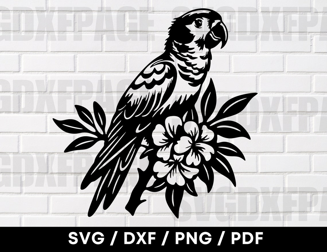 Parrot Scene PNG DXF SVG, Parrot Png, Parrot Bird, Parrot Silhouette ...