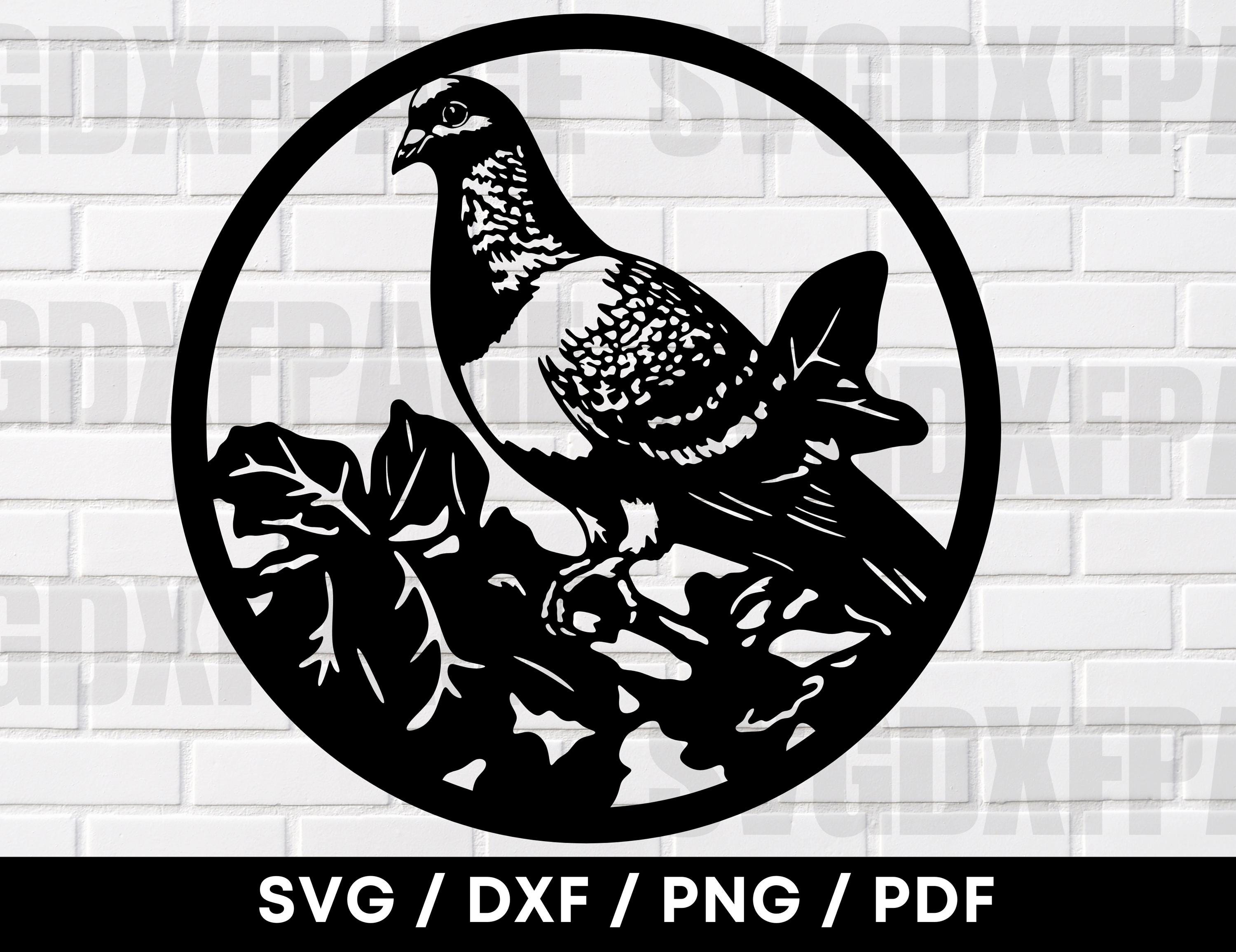 Pigeon on A Branch Scene SVG PNG DXF, Pigeon Bird Silhouette, Pigeon ...
