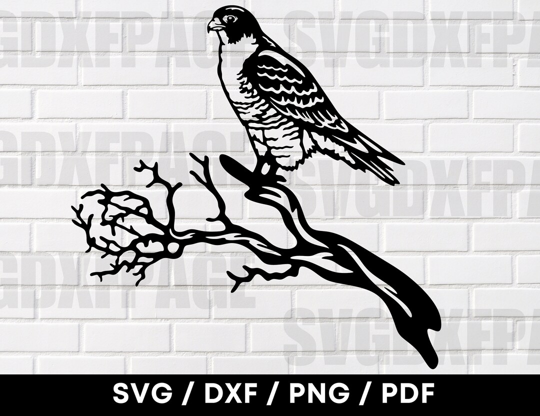 Falcon on A Branch SVG DXF PNG, Falcon Svg, Falcon Bird Png, Bird Png ...