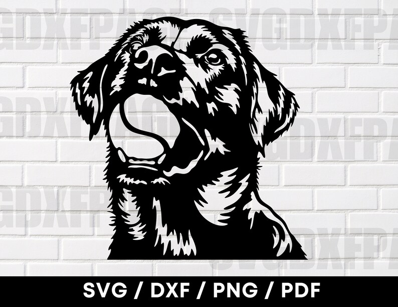 Labrador With Tennis Ball Scene SVG DXF PNG, Labrador Svg, Dog Svg, Dog ...