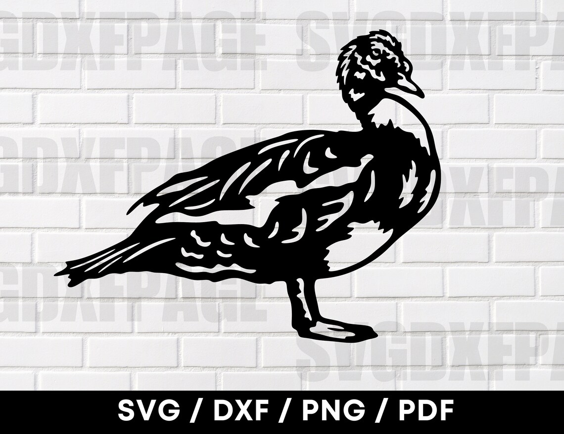 Muscovy Duck SVG DXF PNG, Muscovy Duck Svg, Duck Svg, Duck Png, Duck ...