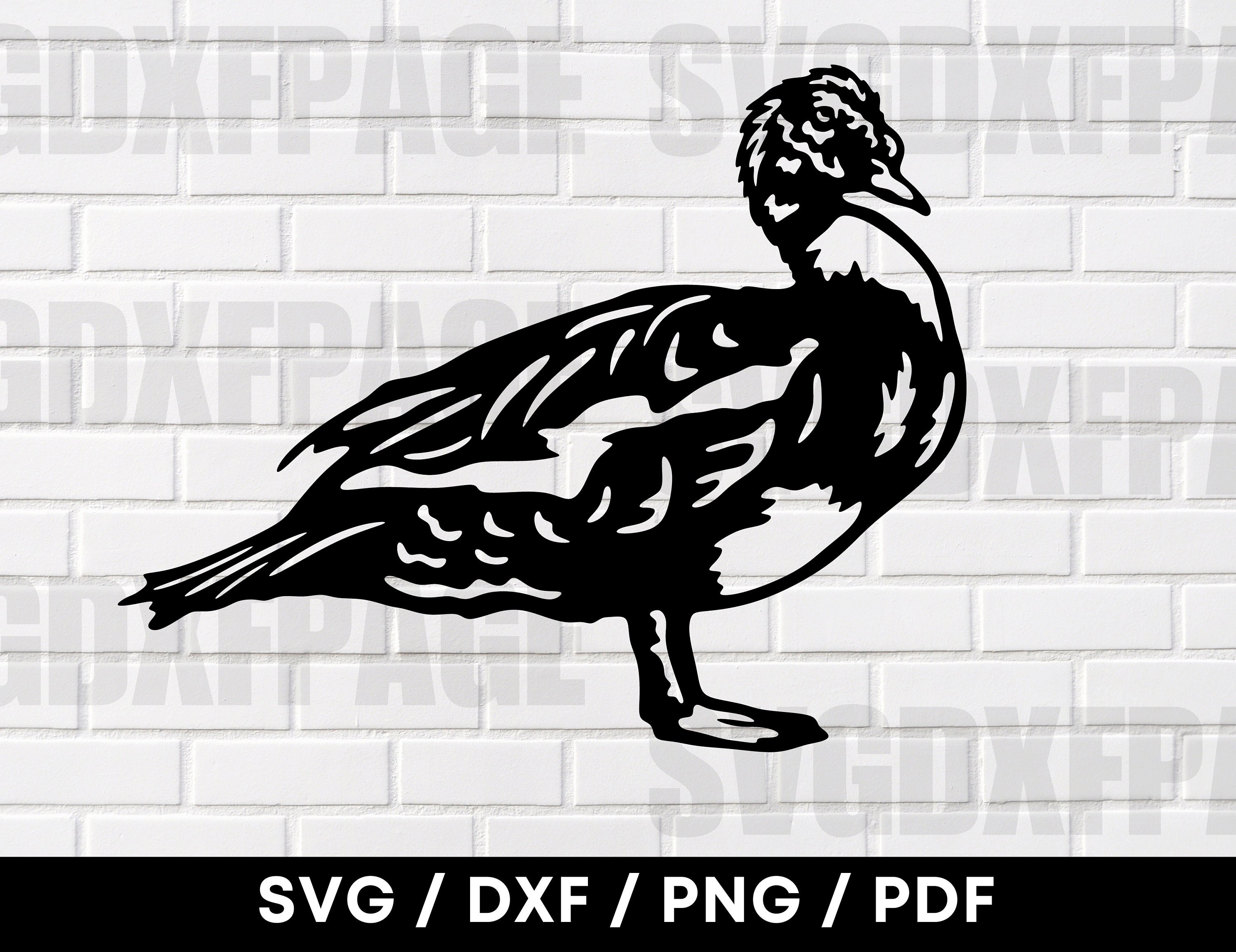 Muscovy Duck SVG DXF PNG, Muscovy Duck Svg, Duck Svg, Duck Png, Duck ...