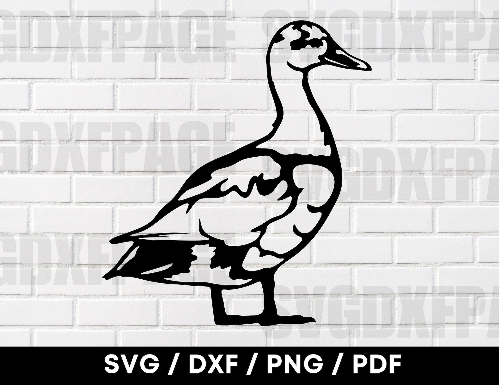 Ancona Duck DXF PNG SVG, Ancona Duck Svg, Ancona Duck Silhouette, Dxf ...