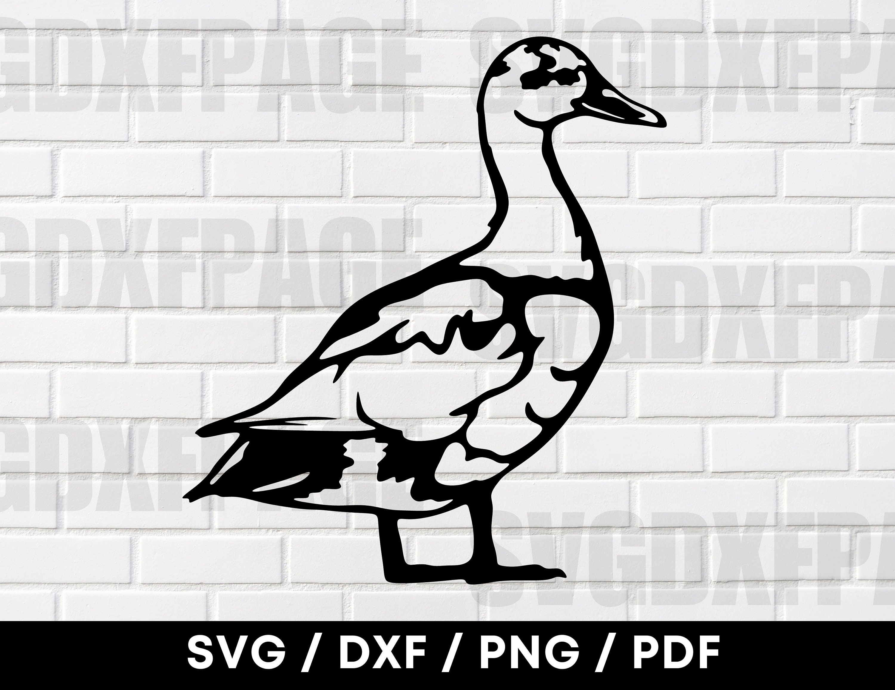 Ancona Duck DXF PNG SVG, Ancona Duck Svg, Ancona Duck Silhouette, Dxf ...