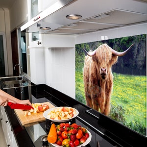 Tempered Glass Highland Cow Backsplash Design-cooker Wall Backsplash ...