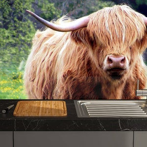 Tempered Glass Highland Cow Backsplash Design-cooker Wall Backsplash ...