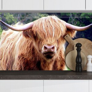 Tempered Glass Highland Cow Backsplash Design-cooker Wall Backsplash ...