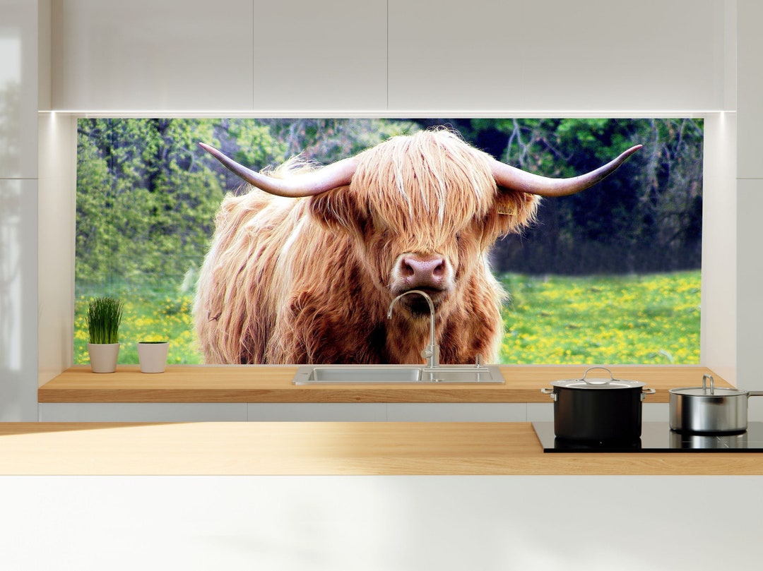 Tempered Glass Highland Cow Backsplash Design-cooker Wall Backsplash ...
