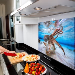 Kitchen Glass Splashback-tempered Glass Aquarium Backsplash Tile ...