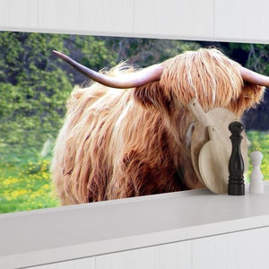Tempered Glass Highland Cow Backsplash Design-cooker Wall Backsplash ...