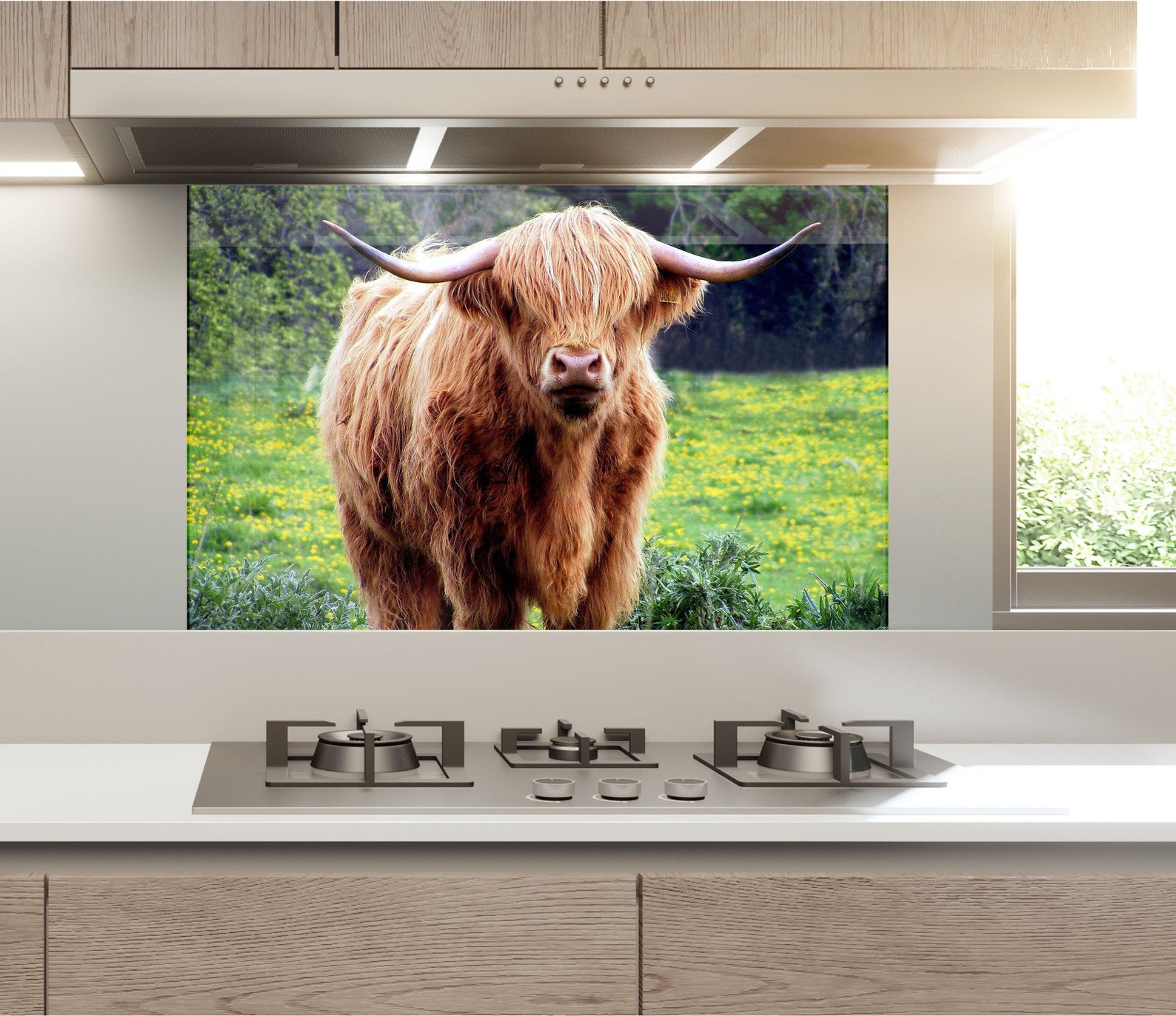 Tempered Glass Highland Cow Backsplash Design-cooker Wall Backsplash ...