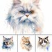 Cats Clipart Bundle, Watercolor, 33 High Quality Images, PNG ...