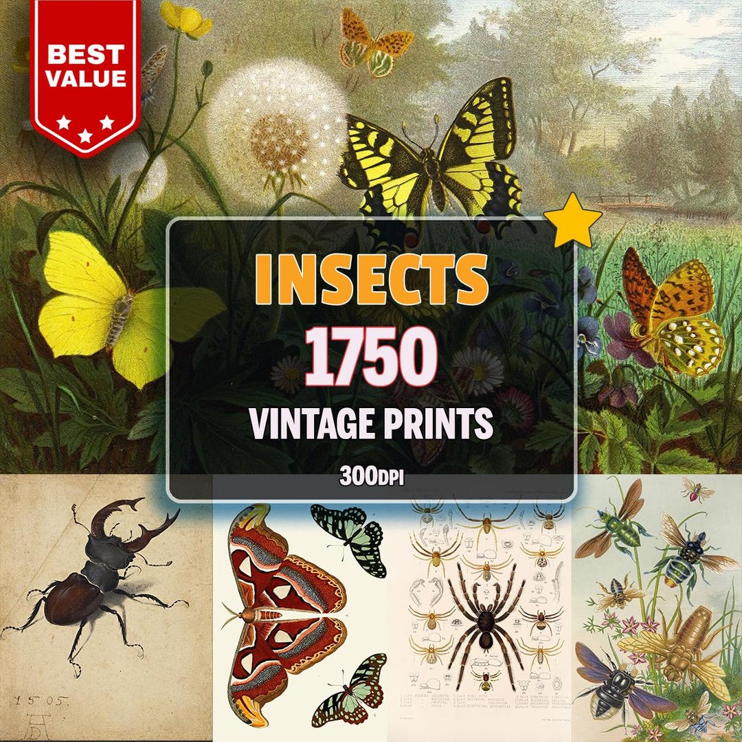 Mega Bundle 1750 Vintage Insect Prints, Entomology Collection ...