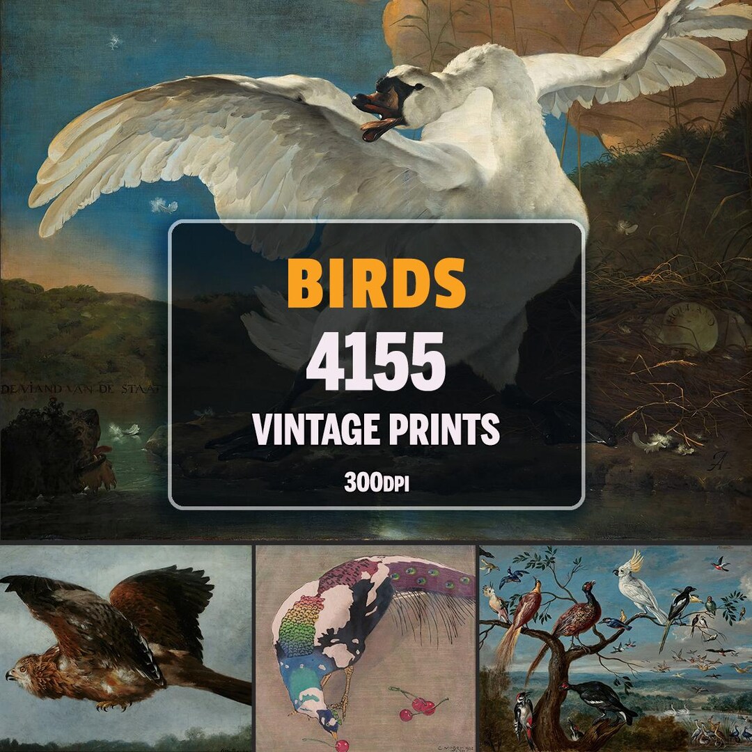 4155 Vintage Bird Prints MEGA BUNDLE, Antique Bird Painting, Vintage ...