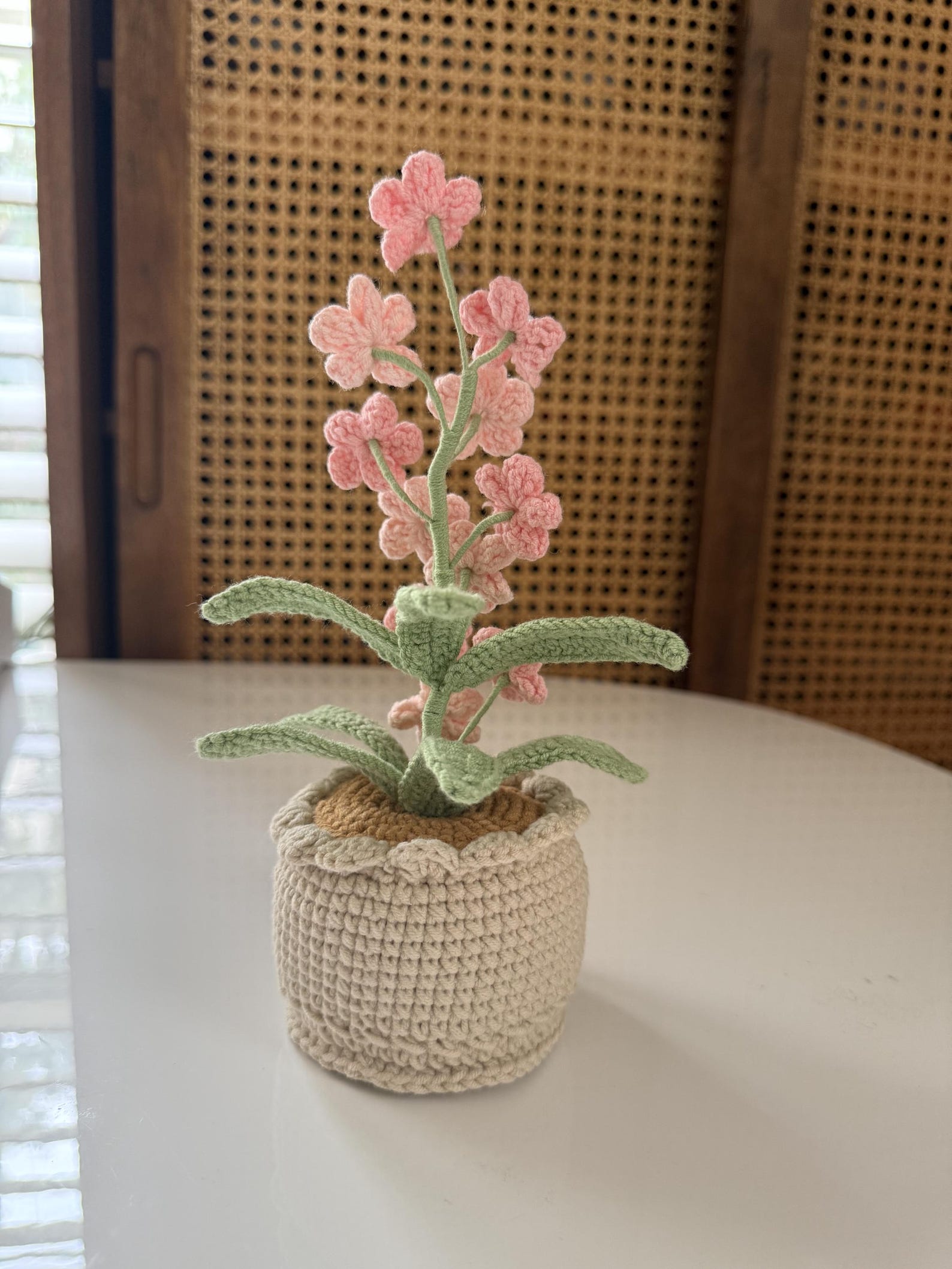 Forget Me Not-pink- Potted Crochet - Etsy